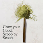 organic greens powders for detox