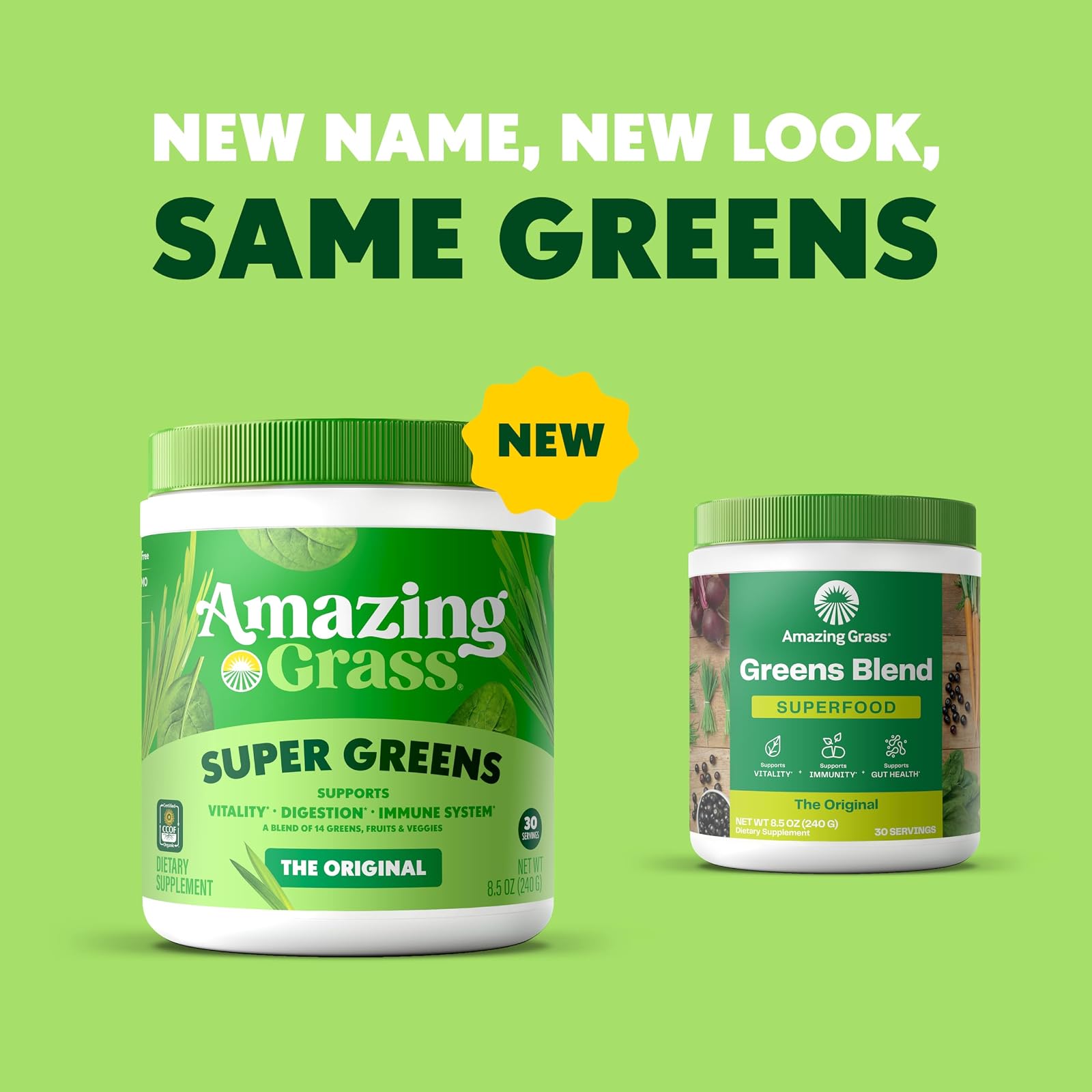 organic greens powders for energy boost
