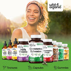 organic Gymnema Sylvestre for vitality