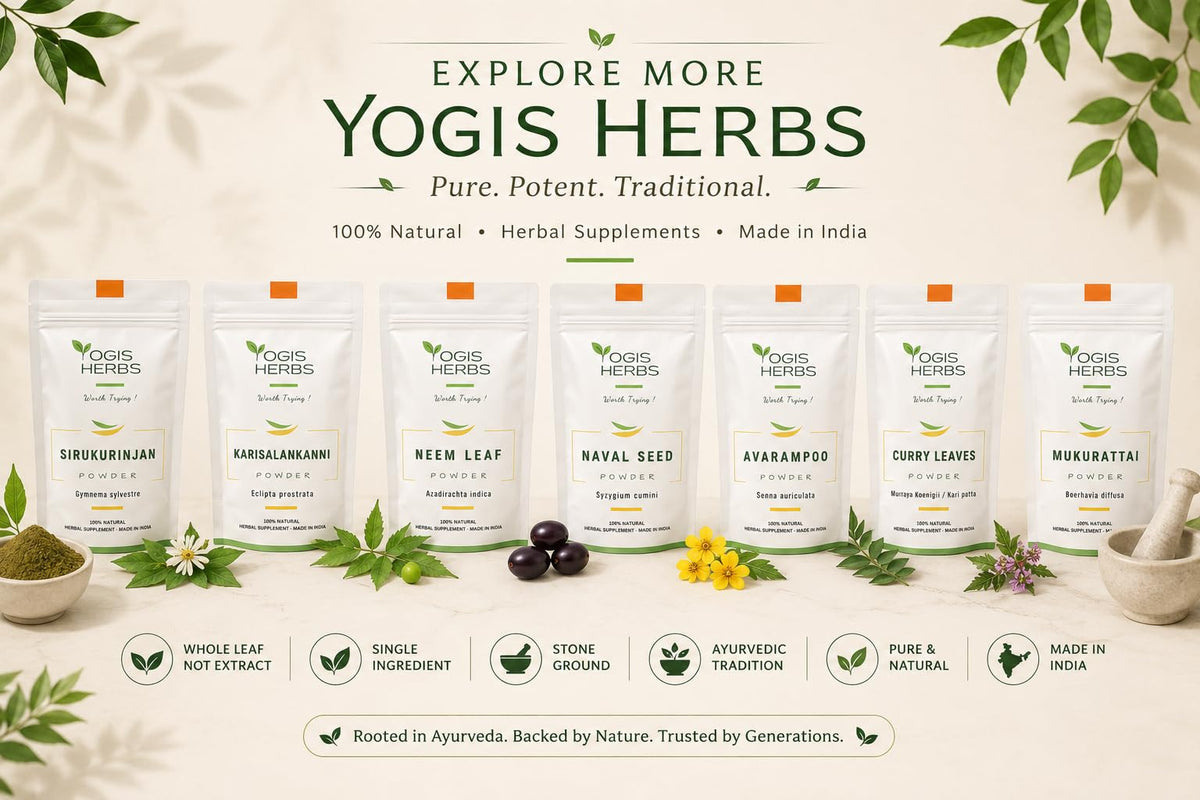 Organic Gymnema Sylvestre for wellness