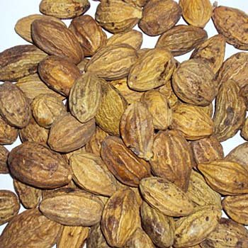 organic haritaki fruit powder benefits