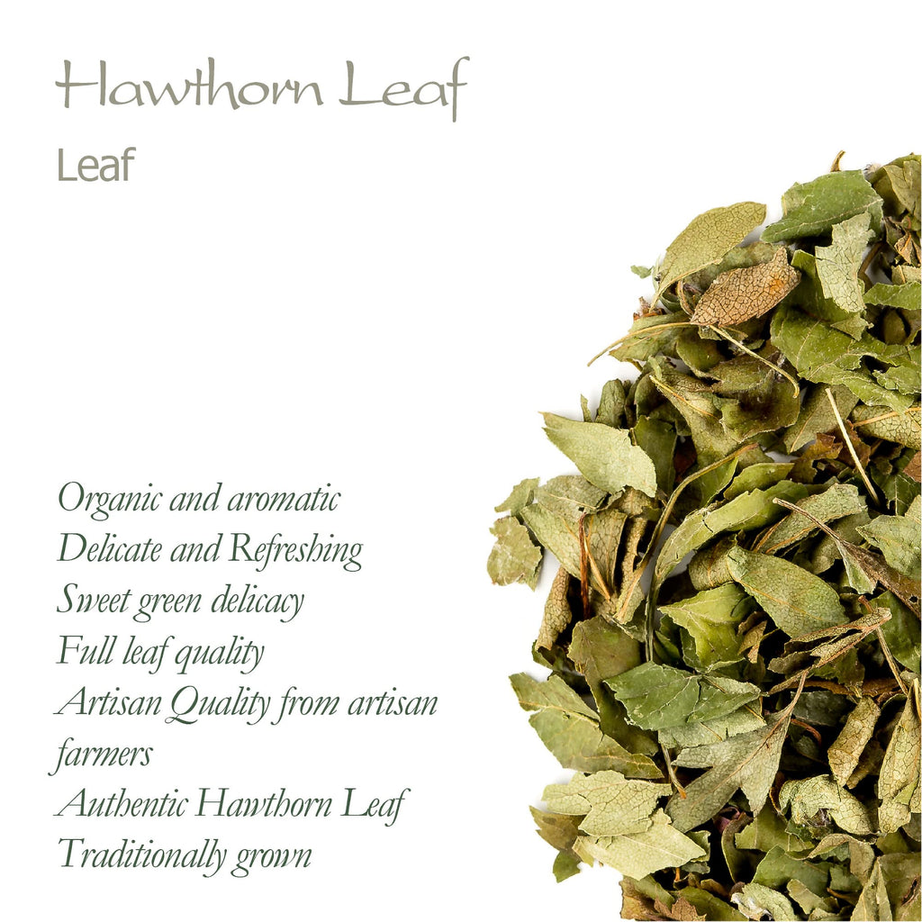 organic hawthorn leaves for tea