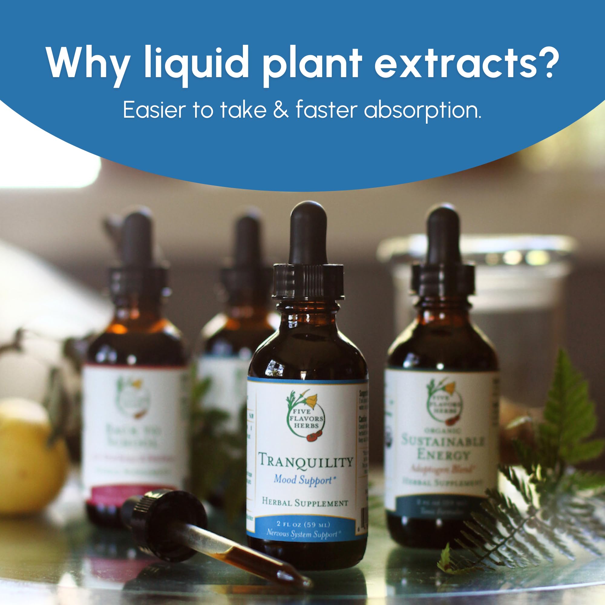 organic herbal blend for mental clarity