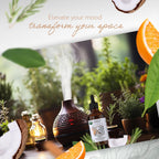 organic herbal blends for holistic health