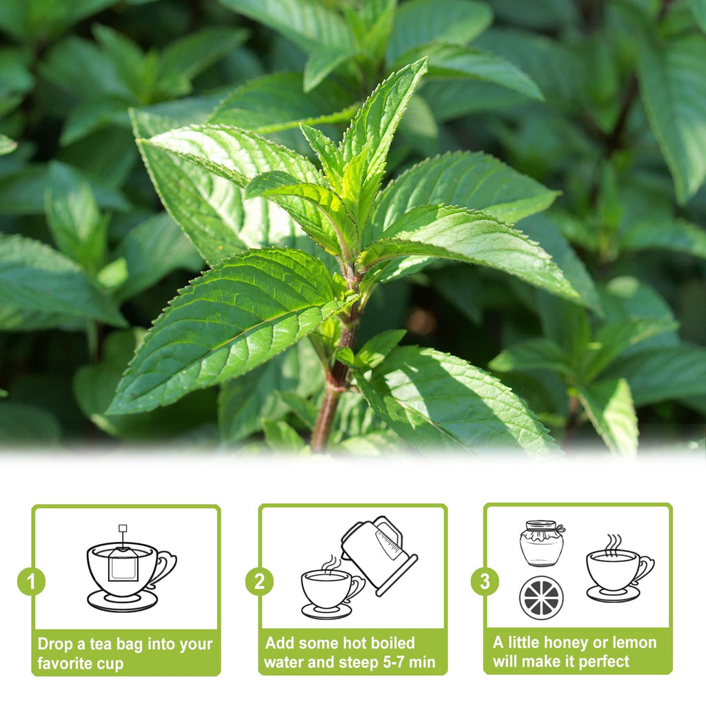 organic herbal detox tea with peppermint