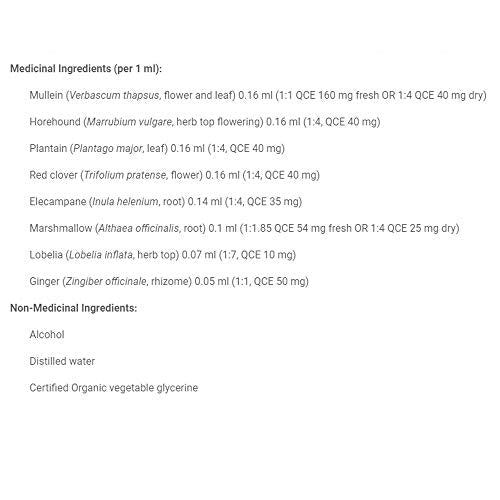 organic herbal remedy for colds and flu