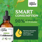 Organic herbal remedy Goldenseal tincture