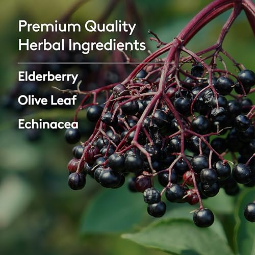 Organic herbal syrup for immunity
