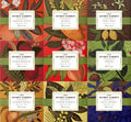 organic herbal tea bag sampler