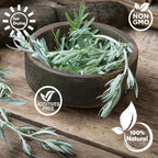 organic herbal tea blend