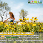 Organic herbal tea for detox