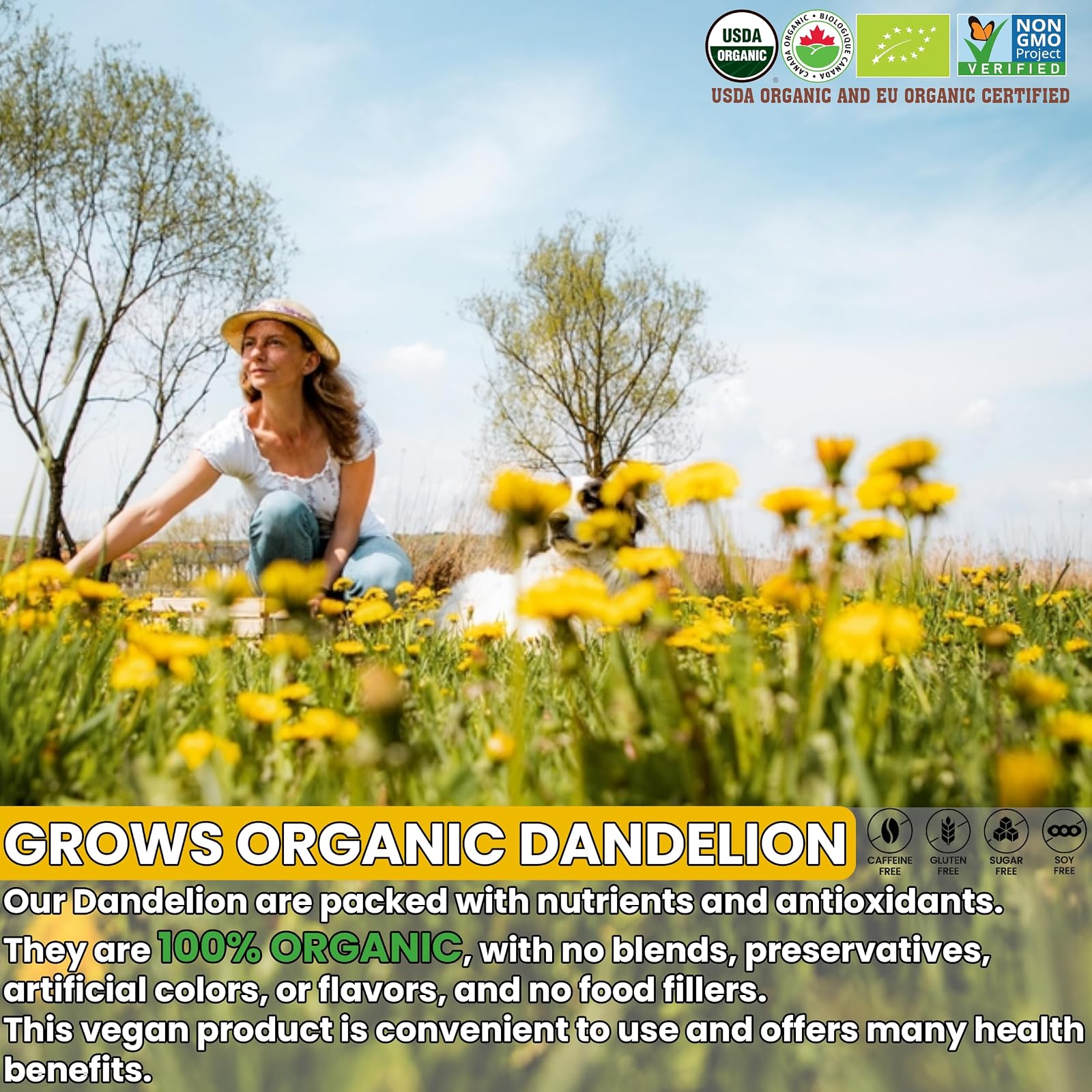 Organic herbal tea for detox