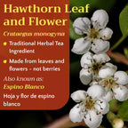 Organic herbal tea for heart health