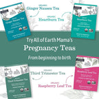Organic herbal tea for mindful moments