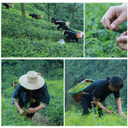 organic herbal tea for relaxation