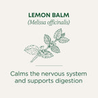 organic herbal tea for relaxation
