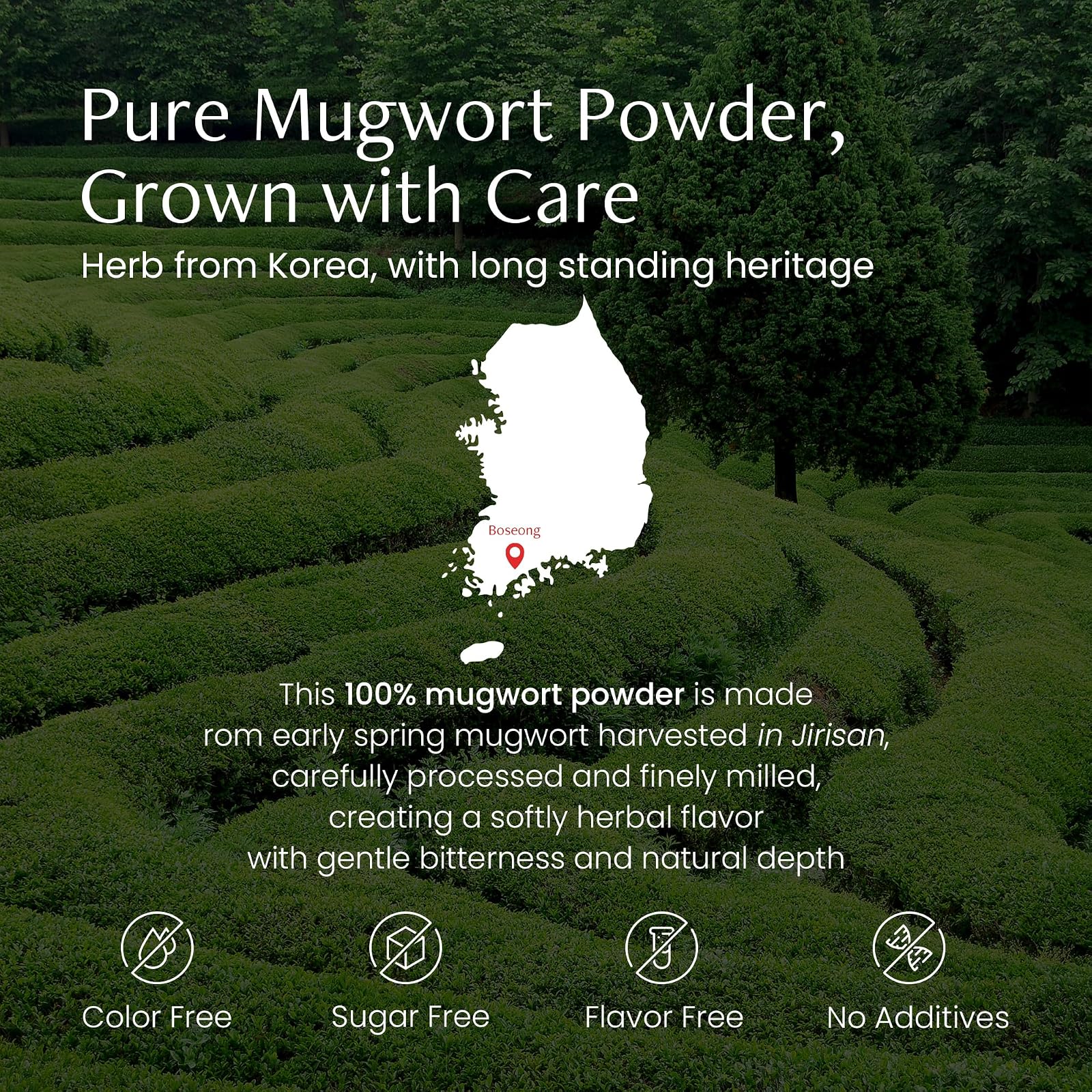 Organic herbal tea for sleep support