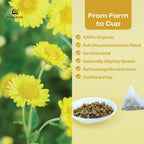organic herbal tea for stress relief