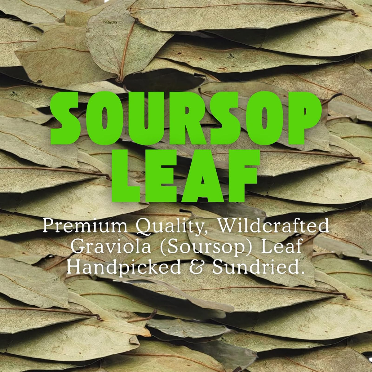 Organic herbal tea for wellness