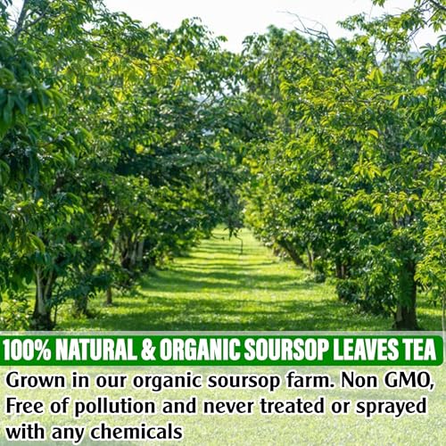organic herbal tea for wellness