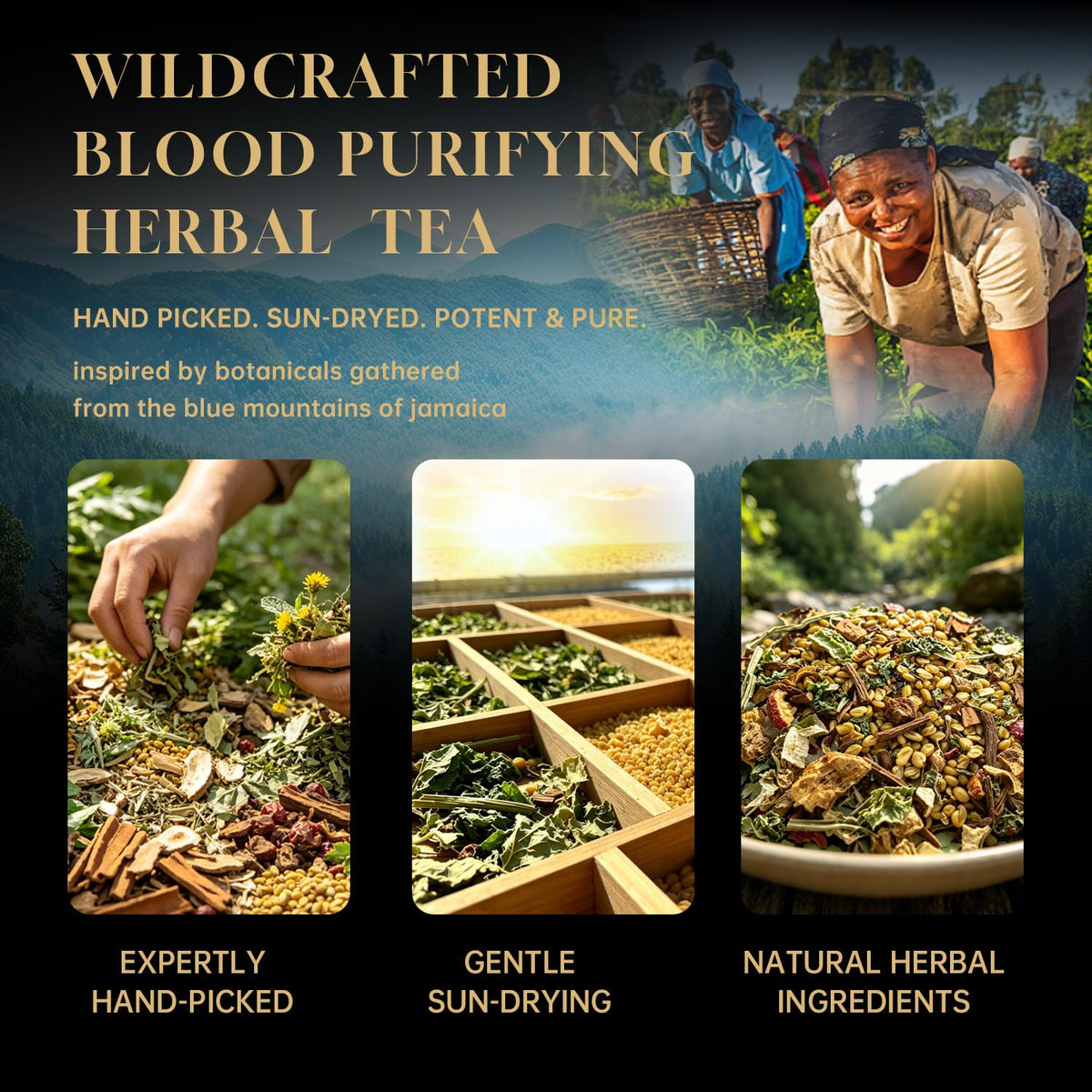 organic herbal tea for wellness