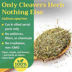 organic herbal tea for wellness