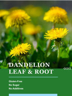 Organic herbal tea with dandelion