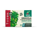 Organic herbal tea with guanabana