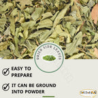 Organic herbal tea with Seder Sidr