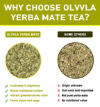 Organic herbal yerba mate tea