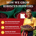 organic hibiscus tea for detox