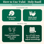 organic holy basil for daily vitality