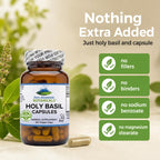 Organic Holy Basil for vitality