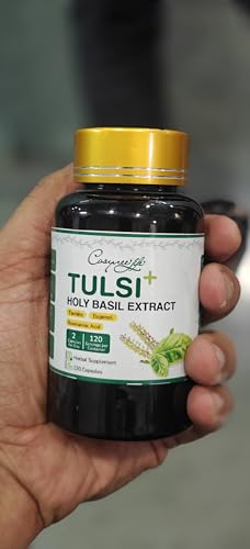 Organic Holy Basil for vitality