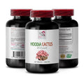 organic hoodia capsules for energy