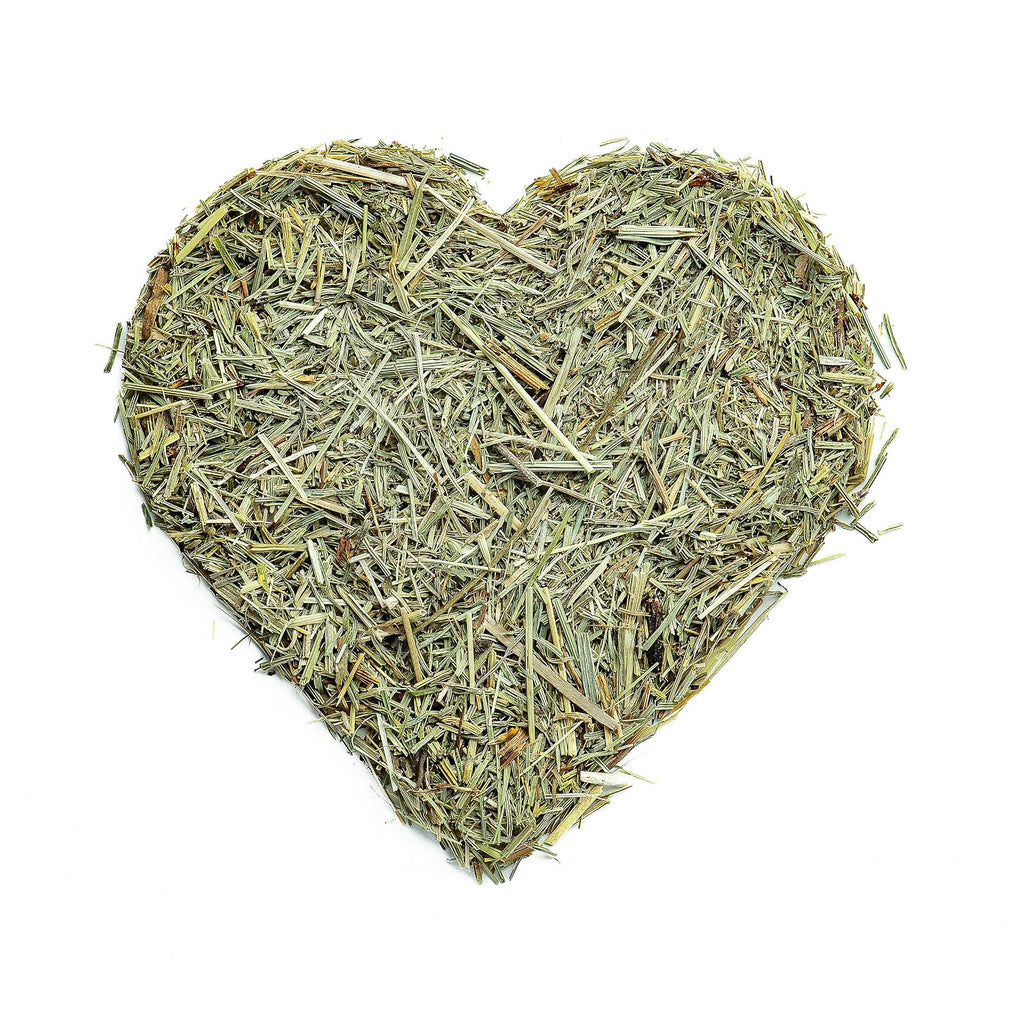 organic horsetail herb for tea