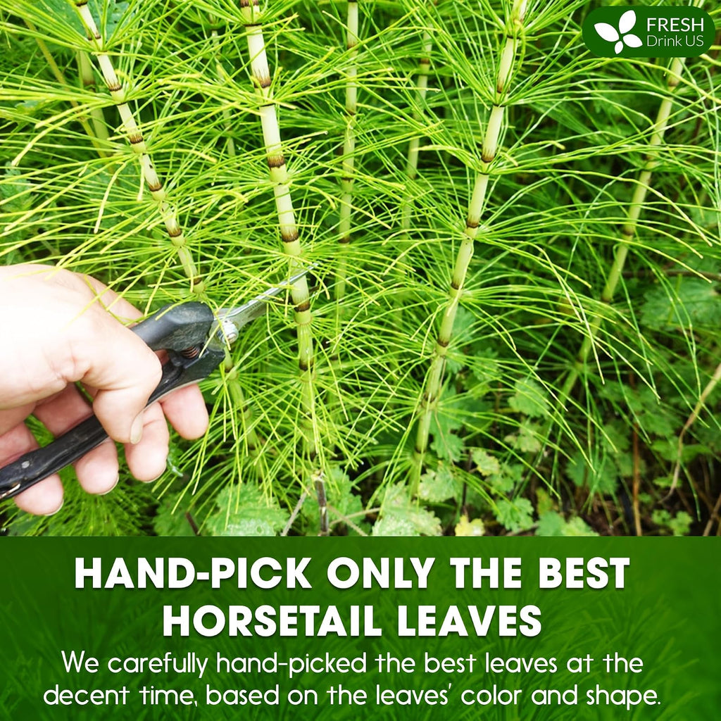 Organic horsetail leaf powder