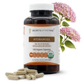 organic hydrangea root capsules