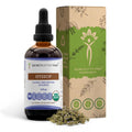 organic hyssop alcohol-free extract