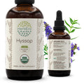 organic hyssop tincture for lung health