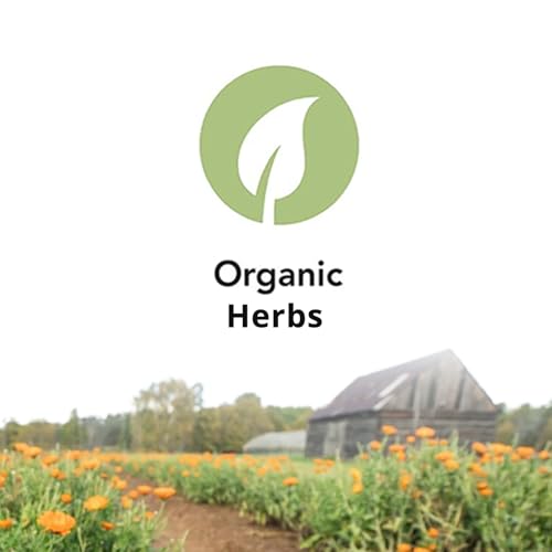 organic immune health booster