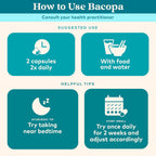 organic india bacopa for focus
