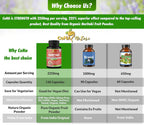 Organic India Haritaki for detoxification