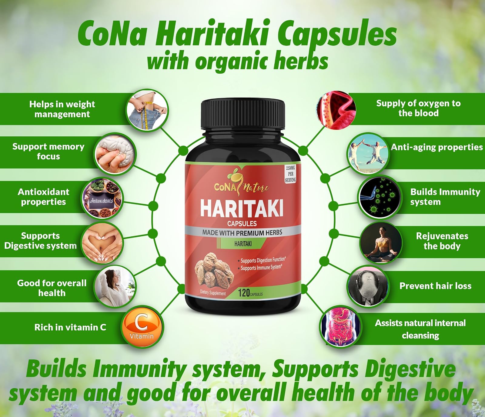 Organic India Haritaki immune system boost