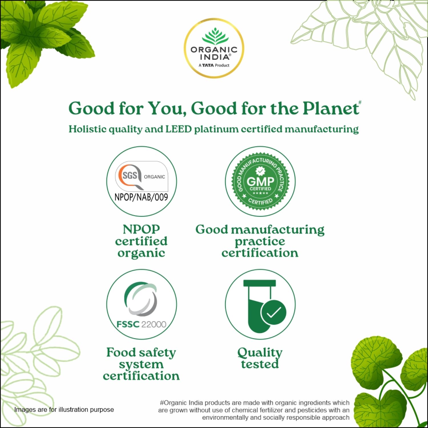 Organic India Triphala antioxidant benefits