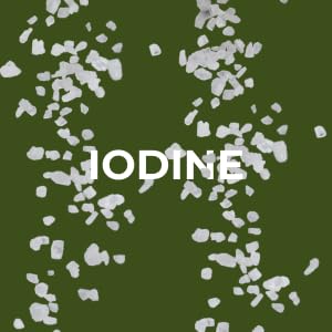 organic iodine for daily nutrition
