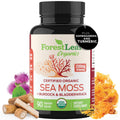 organic Irish sea moss capsules