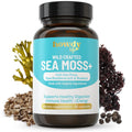 organic Irish sea moss capsules