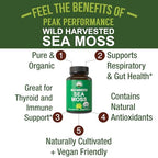 Organic Irish sea moss supplement