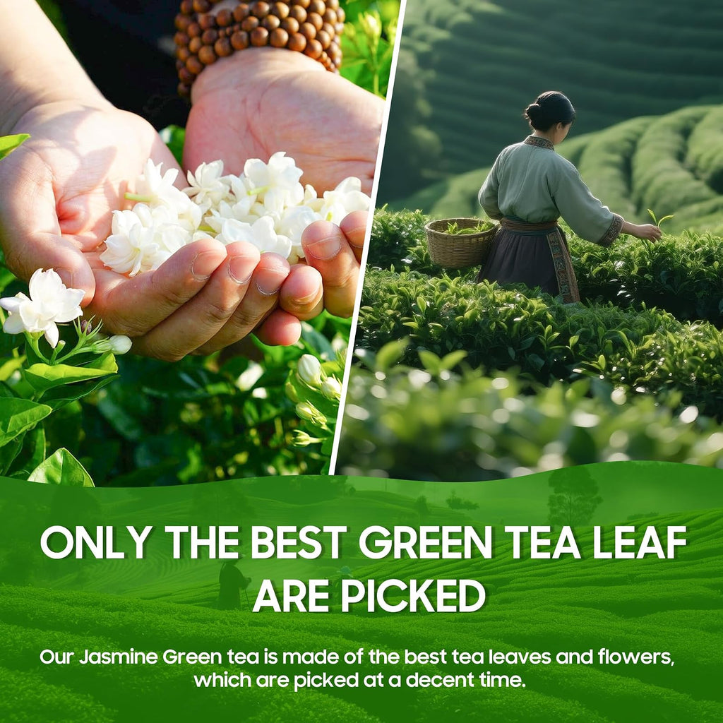 organic jasmine green tea for health benefits